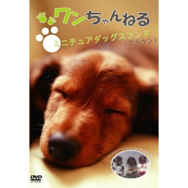 ワンちゃんねる 双子のミニチュアダックスフンド(ブラウン) DVD: 商品のタイトル【中古品】(中古品)＝使用済み中古品です。画像の商品はサンプル画像です。実際に届く商品と異なりますのでご了承下さいませ。※中古品のため、商品のコンディション...