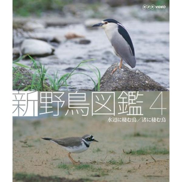 新 野鳥図鑑 第4集 水辺に棲む鳥/渚に棲む鳥 Blu-ray: 商品のタイトル【中古品】(中古品)＝使用済み中古品です。画像の商品はサンプル画像です。実際に届く商品と異なりますのでご了承下さいませ。※中古品のため、商品のコンディション、ケ...