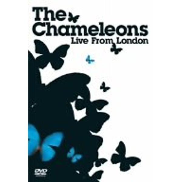 ライヴ・フロム・ロンドン DVD: 商品のタイトル【中古品】(中古品)＝使用済み中古品です。画像の商品はサンプル画像です。実際に届く商品と異なりますのでご了承下さいませ。※中古品のため、商品のコンディション、ケース、説明書等の付属品の有無に...