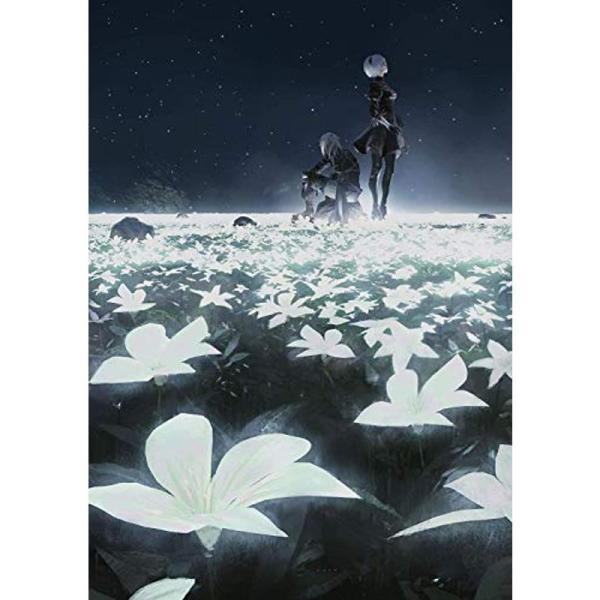 NieR Orchestra Concert 12018(特典なし) Blu-ray: 商品のタイトル【中古品】(中古品)＝使用済み中古品です。画像の商品はサンプル画像です。実際に届く商品と異なりますのでご了承下さいませ。※中古品のため、商...