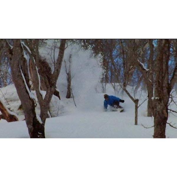 スノーボード DVD colors(カラース゛): 商品のタイトル【中古品】(中古品)＝使用済み中古品です。画像の商品はサンプル画像です。実際に届く商品と異なりますのでご了承下さいませ。※中古品のため、商品のコンディション、ケース、説明書等...