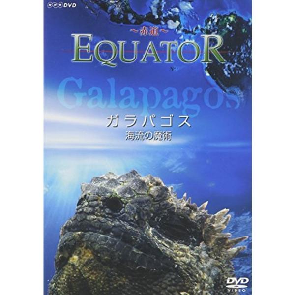 Equator -赤道- ガラパゴス 海流の魔術 DVD: 商品のタイトル【中古品】(中古品)＝使用済み中古品です。画像の商品はサンプル画像です。実際に届く商品と異なりますのでご了承下さいませ。※中古品のため、商品のコンディション、ケース、...