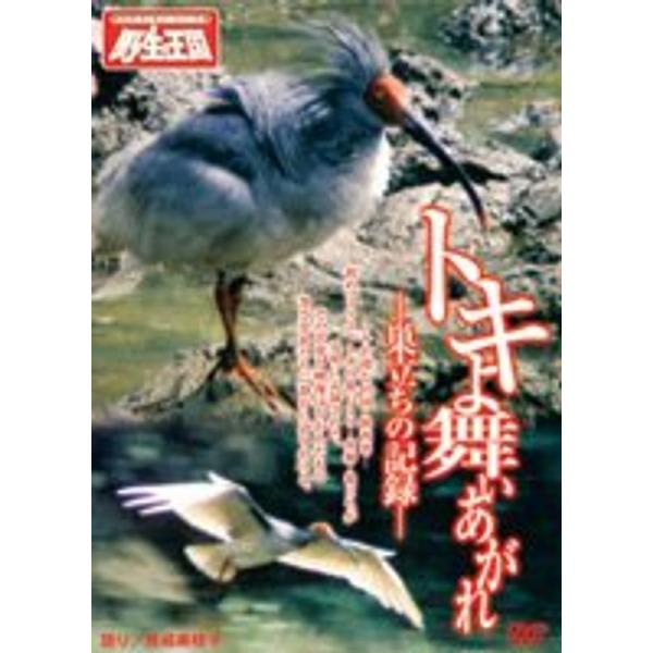 トキよ舞い上がれ-巣立ちの記録- 《DVDネイチャーシリーズ 野生の王国》 DVD: 商品のタイトル【中古品】(中古品)＝使用済み中古品です。画像の商品はサンプル画像です。実際に届く商品と異なりますのでご了承下さいませ。※中古品のため、商品...