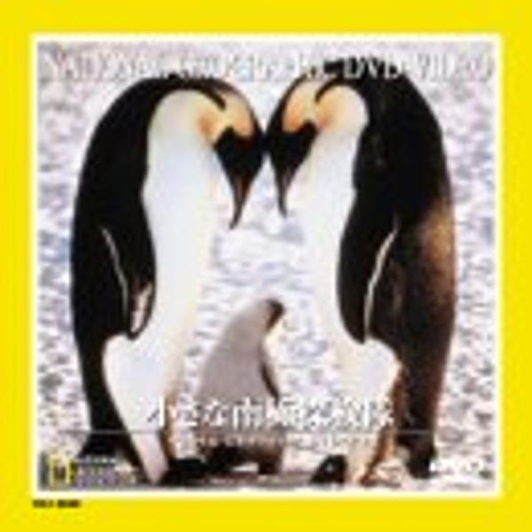 小さな南極探検隊 DVD: 商品のタイトル【中古品】(中古品)＝使用済み中古品です。画像の商品はサンプル画像です。実際に届く商品と異なりますのでご了承下さいませ。※中古品のため、商品のコンディション、ケース、説明書等の付属品の有無については...