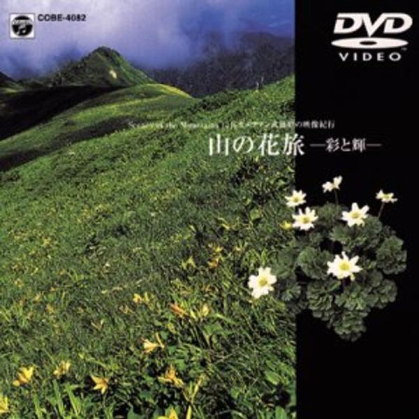 山岳カメラマン 武藤昭の映像紀行「山の花旅-彩と輝-」 DVD: 商品のタイトル【中古品】(中古品)＝使用済み中古品です。画像の商品はサンプル画像です。実際に届く商品と異なりますのでご了承下さいませ。※中古品のため、商品のコンディション、ケ...