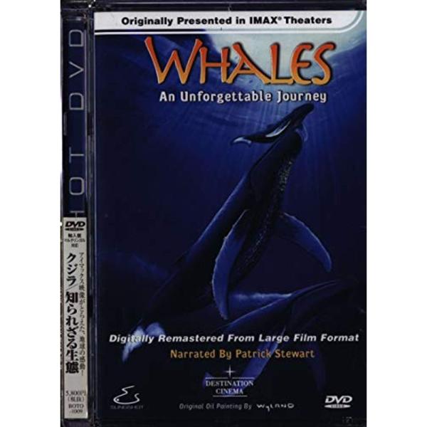 クジラ/知られざる生態 DVD: 商品のタイトル【中古品】(中古品)＝使用済み中古品です。画像の商品はサンプル画像です。実際に届く商品と異なりますのでご了承下さいませ。※中古品のため、商品のコンディション、ケース、説明書等の付属品の有無につ...