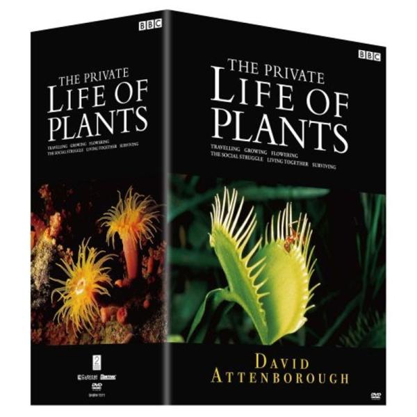 BBCドキュメント100シリーズ プライベート・ライフ・オブ・プランツ/植物の世界 DVD-BOX: 商品のタイトル【中古品】(中古品)＝使用済み中古品です。画像の商品はサンプル画像です。実際に届く商品と異なりますのでご了承下さいませ。※中...