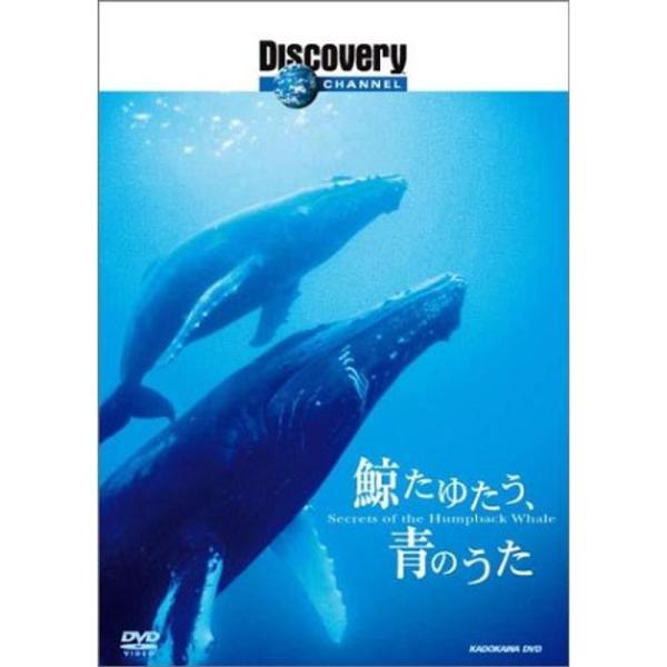 ディスカバリーチャンネル 鯨たゆたう、青のうた DVD: 商品のタイトル【中古品】(中古品)＝使用済み中古品です。画像の商品はサンプル画像です。実際に届く商品と異なりますのでご了承下さいませ。※中古品のため、商品のコンディション、ケース、説...