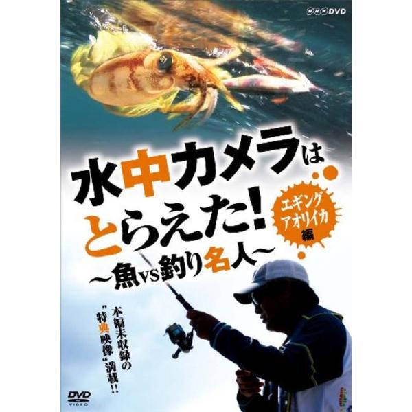 水中カメラはとらえた 魚VS釣り名人 エギング アオリイカ編 DVD: 商品のタイトル【中古品】(中古品)＝使用済み中古品です。画像の商品はサンプル画像です。実際に届く商品と異なりますのでご了承下さいませ。※中古品のため、商品のコンディショ...