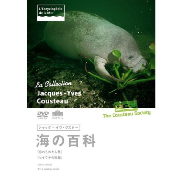 ジャック=イヴ・クストー 海の百科 忘れられた人魚/セイウチの笑顔 DVD: 商品のタイトル【中古品】(中古品)＝使用済み中古品です。画像の商品はサンプル画像です。実際に届く商品と異なりますのでご了承下さいませ。※中古品のため、商品のコンデ...