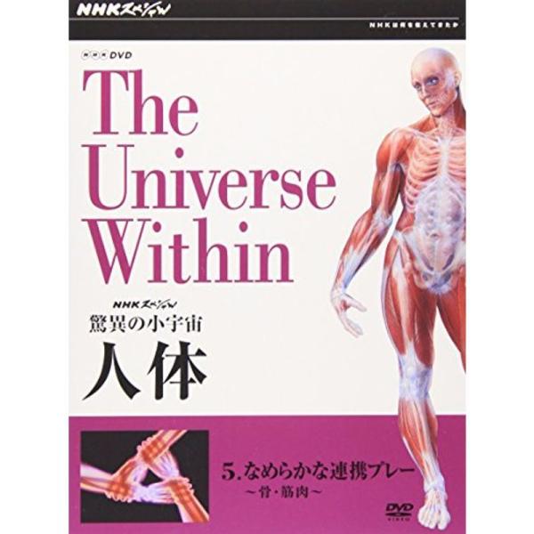 NHKスペシャル 驚異の小宇宙 人体 Vol.5「なめらかな連携プレー~骨・筋肉~」 DVD: 商品のタイトル【中古品】(中古品)＝使用済み中古品です。画像の商品はサンプル画像です。実際に届く商品と異なりますのでご了承下さいませ。※中古品の...