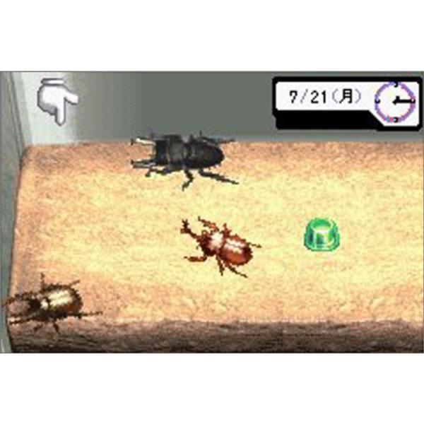 みんなの飼育シリーズ3 ぼくのカブト・クワガタ: 商品のタイトル【中古品】(中古品)＝使用済み中古品です。画像の商品はサンプル画像です。実際に届く商品と異なりますのでご了承下さいませ。※中古品のため、商品のコンディション、ケース、説明書等の...