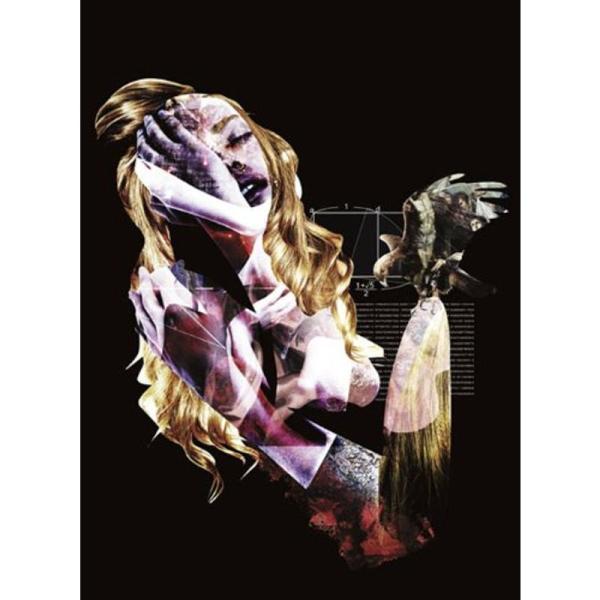 THE NAMELESS LIBERTY AT 10.12.26 TOKYO DOME(初回生産限定盤) DVD: 商品のタイトル【中古品】(中古品)＝使用済み中古品です。画像の商品はサンプル画像です。実際に届く商品と異なりますのでご了承下...