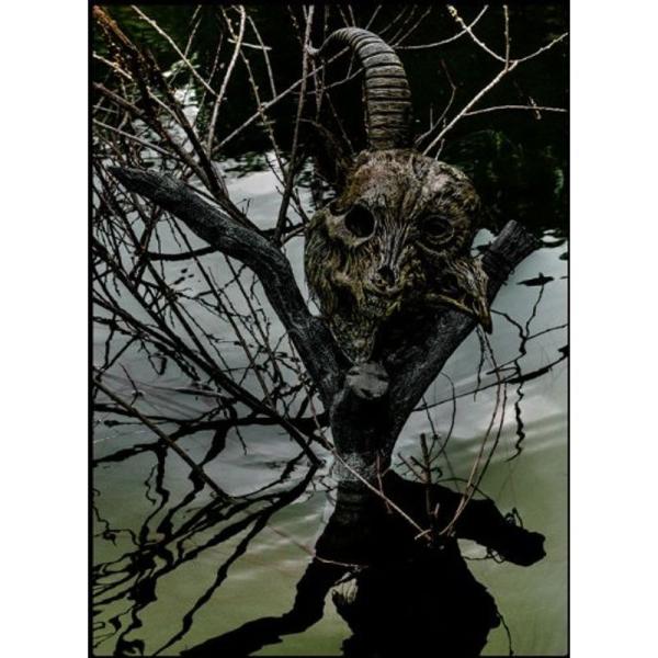 the GazettE LIVE TOUR13-14MAGNIFICENT MALFORMED BOXFINAL CODA LIVE AT : 商品のタイトル【中古品】(中古品)＝使用済み中古品です。画像の商品はサンプル画像です。実際に届く...