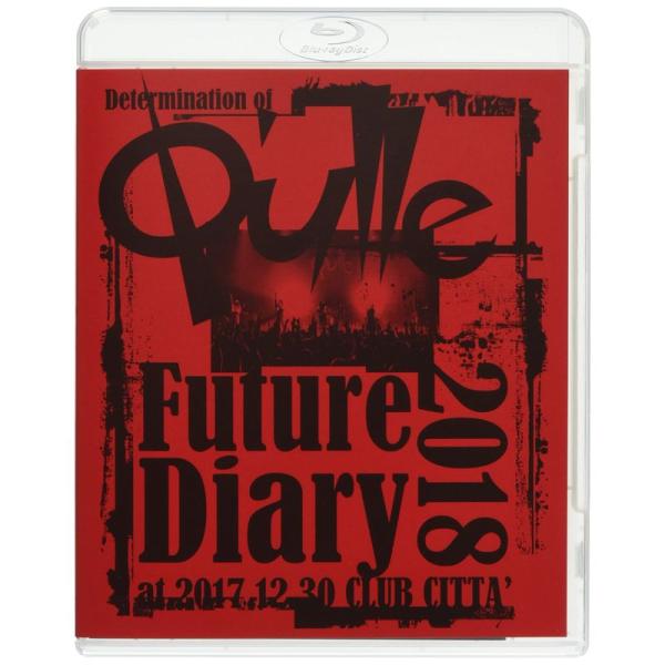 Determination of Q'ulle「Future Diary 2018」 at 2017.12.30 CLUB CITTA'(B: 商品のタイトル【中古品】(中古品)＝使用済み中古品です。画像の商品はサンプル画像です。実際に届く...