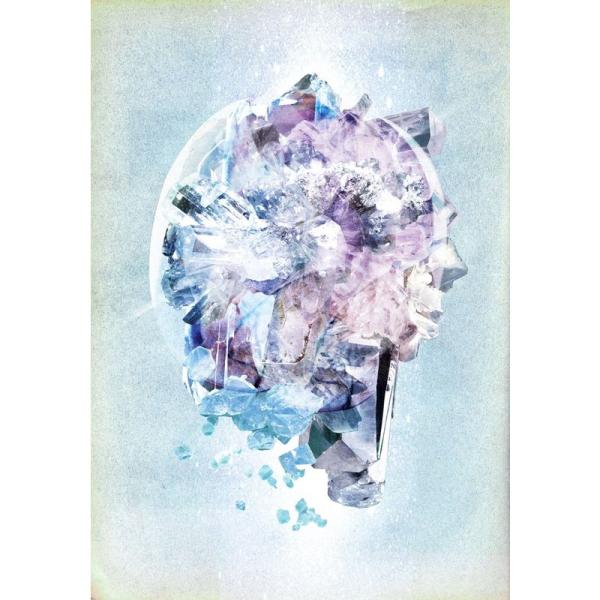 RADWIMPS Live &amp; Document 2014「×とと君と」(通常盤)DVD: 商品のタイトル【中古品】(中古品)＝使用済み中古品です。画像の商品はサンプル画像です。実際に届く商品と異なりますのでご了承下さいませ。※中古...