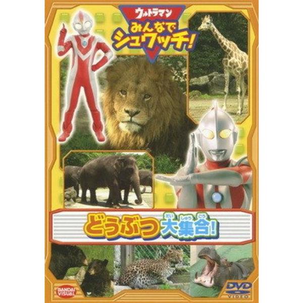 ウルトラマン みんなでシュワッチ どうぶつ大集合 レンタル落ち: 商品のタイトル【中古品】(中古品)＝使用済み中古品です。画像の商品はサンプル画像です。実際に届く商品と異なりますのでご了承下さいませ。※中古品のため、商品のコンディション、ケ...