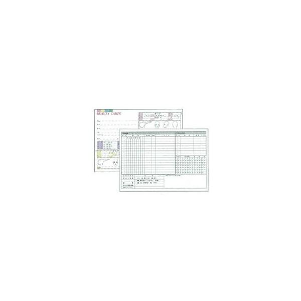 サイズ：157×227mmお客様の豊富なデータをサロンワークに活かすには、カルテ管理は欠かせません。住所やTEL等の基本情報と施術を分かりやすく伝える定評のカルテになります。[その他][その他][JAN: 4560178171392]