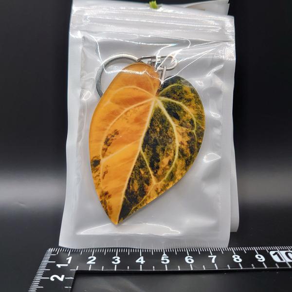 アロイドの葉を模ったキーホルダーになります。インドネシアで作られたアロイドキーホルダー両面同じ柄が印刷されていてレジンで挟んである構造です。作りはしっかりしていると思います。