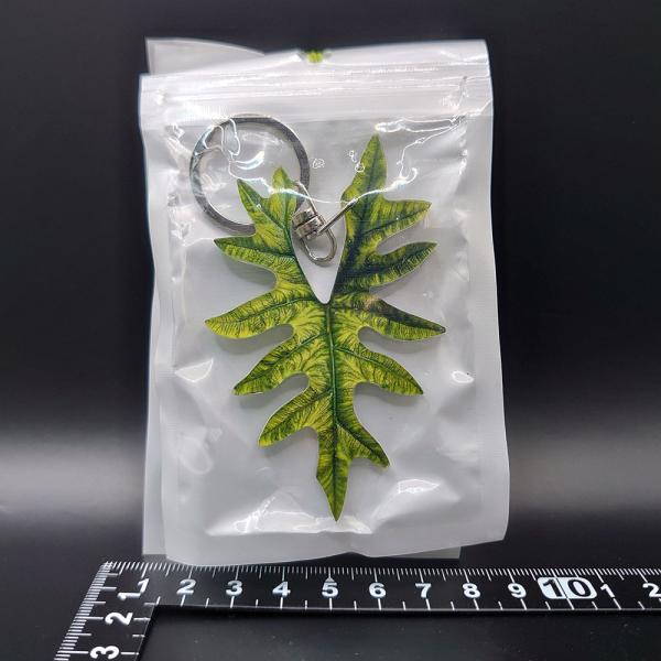 アロイドの葉を模ったキーホルダーになります。インドネシアで作られたアロイドキーホルダー両面同じ柄が印刷されていてレジンで挟んである構造です。作りはしっかりしていると思います。