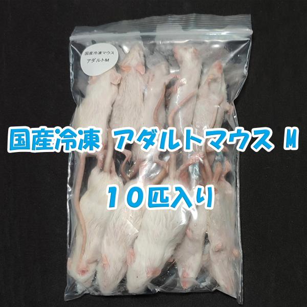 国産冷凍アダルトマウスM　10匹入り重さ：約15~20g長さ：約7,５cm実験動物用の飼料で飼育された安心安全の国産冷凍マウスです。ヘビ・トカゲ・猛禽におすすめです♪１袋10匹入りとなっております。※製品の性質上、下記の点ご了承ください。加...