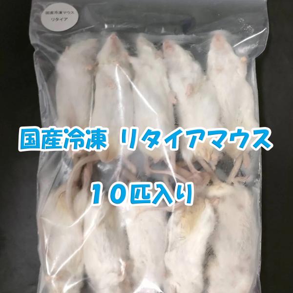 国産冷凍リタイアマウス　10匹入り重さ：約38~50g長さ：約12cm実験動物用の飼料で飼育された安心安全の国産冷凍マウスです。ヘビ・トカゲ・猛禽におすすめです♪１袋10匹入りとなっております。※製品の性質上、下記の点ご了承ください。加工・...