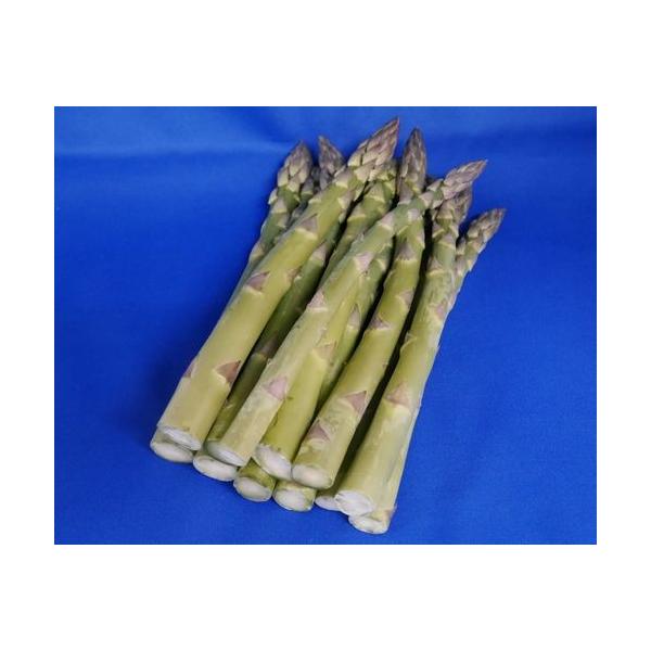 販売期間　4月7日〜5月0日