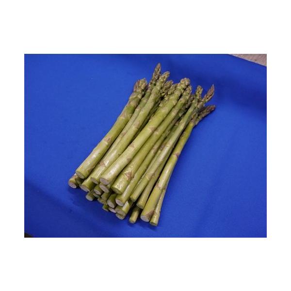 販売期間　4月7日〜6月14日