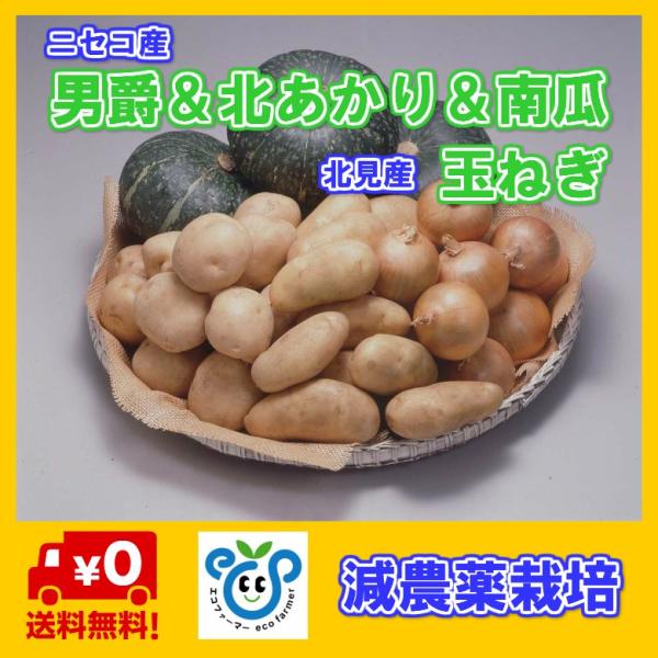 【発売日：2026年09月23日】北海道　ニセコ産男爵+北あかりＬ各２ｋｇ+北見産玉葱Ｌ２ｋｇ+南瓜１玉（約１．５ｋｇ）の４種詰め合わせ商品になります。北海道のブランド、ニセコ町のじゃがいもは寒暖の差が激しいニセコアンヌプリの麓で栽培されて...