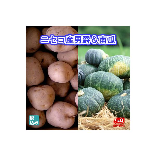 【発売日：2026年09月23日】北海道　ニセコ産男爵Ｌ４ｋｇ+南瓜　２玉（約３ｋｇ）の商品になります。北海道のブランド、ニセコ町のじゃがいもは寒暖の差が激しいニセコアンヌプリの麓で栽培されています。当商品はニセコ町ニセコ・曽我・北栄地区で...