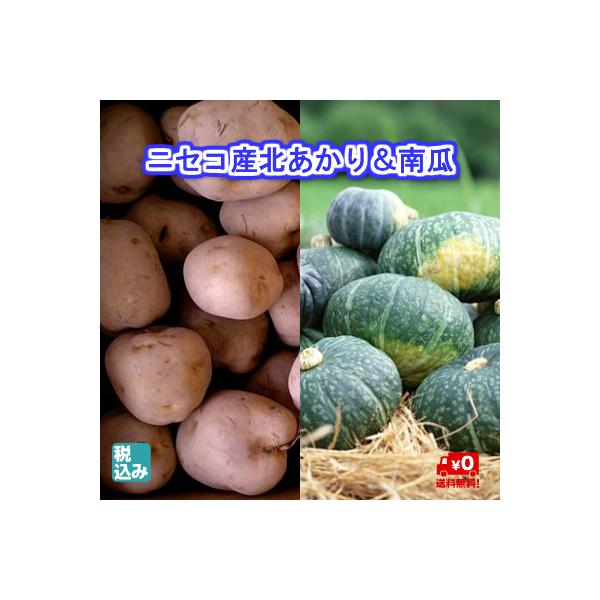 【発売日：2026年09月23日】北海道　ニセコ産　北あかりＬ４ｋｇ+南瓜２玉（約３ｋｇ）の商品になります。北海道のブランド、ニセコ町のじゃがいもは寒暖の差が激しいニセコアンヌプリの麓で栽培されています。当商品はニセコ町ニセコ・曽我・北栄地...