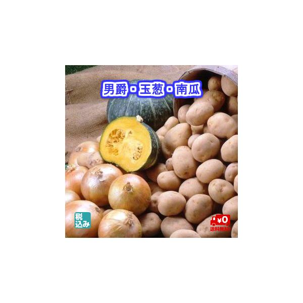 【発売日：2026年09月23日】北海道　ニセコ産男爵Ｌ４ｋｇ+北見産玉葱　Ｌ３ｋｇ+南瓜１玉（約１．５ｋｇ）の商品になります。北海道のブランド、ニセコ町のじゃがいもは寒暖の差が激しいニセコアンヌプリの麓で栽培されています。当商品はニセコ町...