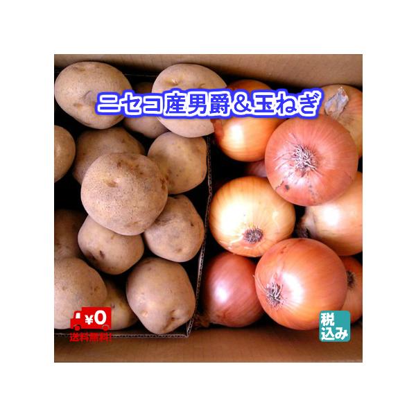 【発売日：2025年09月24日】北海道　ニセコ産男爵Ｌ４ｋｇ+北見産　玉葱　Ｌ大４ｋｇの商品になります。北海道のブランド、ニセコ町のじゃがいもは寒暖の差が激しいニセコアンヌプリの麓で栽培されています。当商品はニセコ町ニセコ・曽我・北栄地区...
