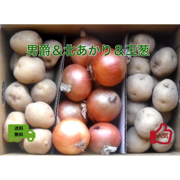 【発売日：2025年09月24日】北海道ニセコ産男爵+北あかりＬＭ各２ｋｇ＋北見産玉葱Ｌ３ｋｇの商品になります。<br>北海道のブランド、ニセコ町のじゃがいもは寒暖の差が激しいニセコアンヌプリの麓で栽培されています。<br...