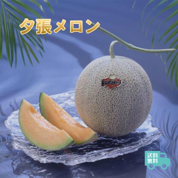 【発売日：2026年06月20日】夕張メロンの共撰（優品）１玉入り約１．６ｋｇの商品になります。ギフト用として一番多く使われている商品で、御中元には最適です。共撰品はＪＡ夕張で検査員が、糖度、ネット、形状、大きさなどを検査し、共撰出荷規格に...