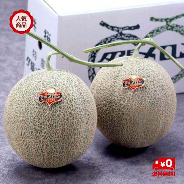 【発売日：2026年06月20日】夕張メロンの共撰（優品）２玉入り約４.０ｋｇの商品になります。ギフト用として一番多く使われている商品で、御中元には最適です。共撰品はＪＡ夕張で検査員が、糖度、ネット、形状、大きさなどを検査し、共撰出荷規格に...