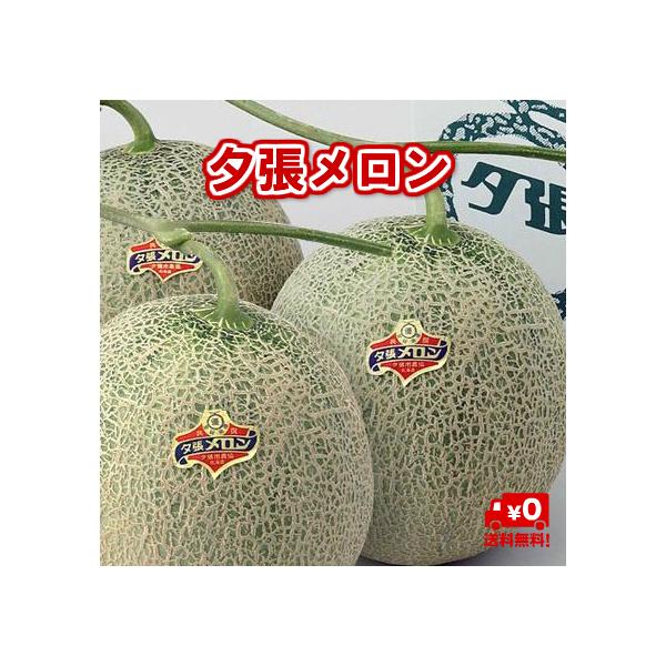 【発売日：2026年06月20日】夕張メロンの共撰（優品）３玉入り約４．８ｋｇの商品になります。ギフト用として一番多く使われている商品で、御中元には最適です。共撰品はＪＡ夕張で検査員が、糖度、ネット、形状、大きさなどを検査し、共撰出荷規格に...