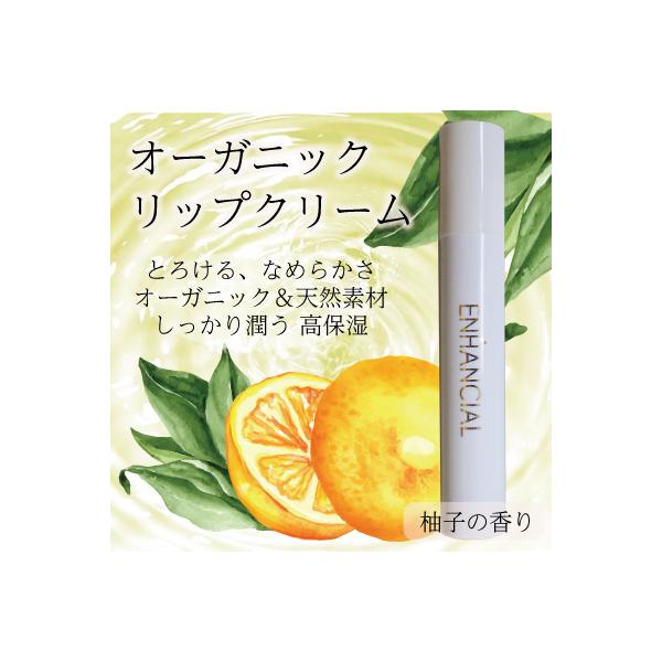【発売日：2020年02月01日】凝固剤が入っていないため夏季は【宅配クール便で配送】つけ心地にこだわり、なめらかなテクスチャーを実現ナチュラル志向の方にピッタリのリップスティックです。シンプルデザインにいたしました。【全成分】　　※オーガ...