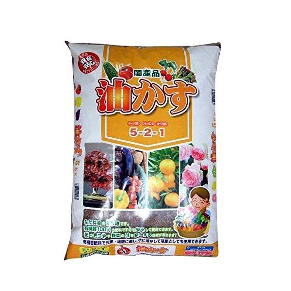 【商品概要】内容量:10kg【商品説明】【商品詳細】ブランド：大宮グリーンサービス商品種別：DIY・工具・ガーデン商品名：大宮グリーンサービス 油かす521 10kg製造元：大宮グリーンサービス商品内容：10kg商品タイプ：油かす【当店から...