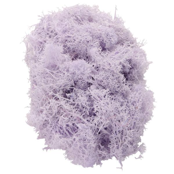 【商品概要】プリザーブド加工主な素材:コケ原産国:日本国プリザーブドフラワーグリーン リーフ 実もの 枝もの染料が切り口や表面から漏れることがありますので、直射日光や湿気は避けてください。直射日光や高温多湿の場所は避けてください。屋内装飾用...