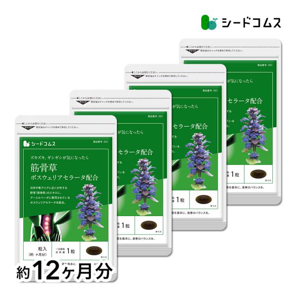 1粒あたりの主要原料・筋骨草エキス…15mg・ボスウェリアセラータ…50mg