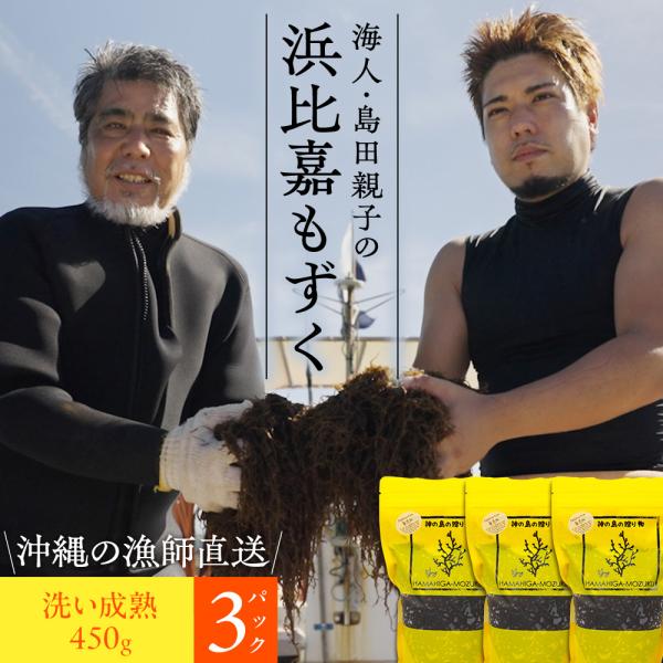 もずくの一大産地・沖縄県浜比嘉島。島の周囲は波が穏やかできれいな海に囲まれ、もずく養殖に最適な環境がそろっています。海人の島田親子がお届けする、成長段階ごとに食感が異なるこだわりの浜比嘉ブランドもずく。「成熟」もずくは、水分量・歯ごたえのバ...