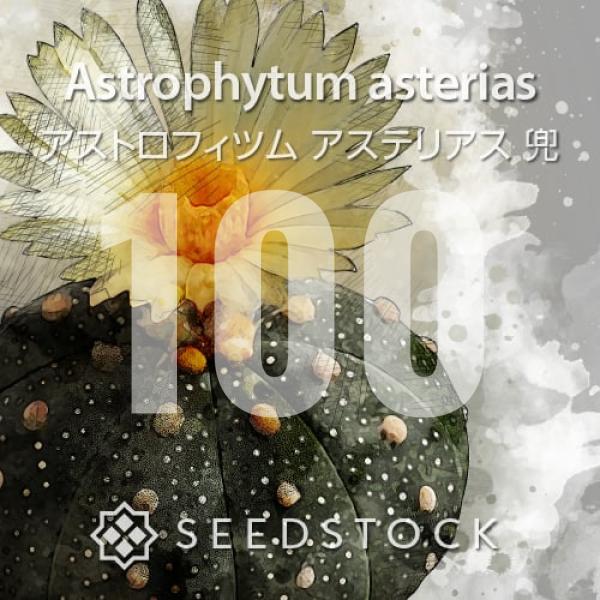 【商品】植物種子【品種】アストロフィツム アステリアス 兜（Astrophytum asterias）【科】Cactaceae【内容量】100粒【原産地】テキサス州およびメキシコ（タマウリパス州、ヌエボ・レオン州）※発芽率・品種の保証はござ...