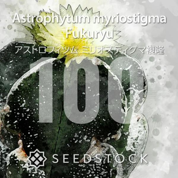 【商品】植物種子【品種】アストロフィツム ミリオスティグマ複隆（Astrophytum myriostigma）【科】Cactaceae【内容量】100粒【原産地】メキシコ（栽培品種）【発芽適温】25-30℃※発芽率・品種の保証はございませ...