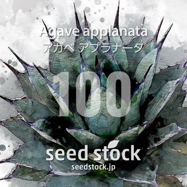 【商品】植物種子【品種】アガベ アプラナータ 孫悟空（Agave applanata）【科】Asparagaceae【内容量】100粒【原産地】メキシコ【発芽適温】25-30℃※発芽率・品種の保証はございません。種子の性質上、栽培環境や管理...