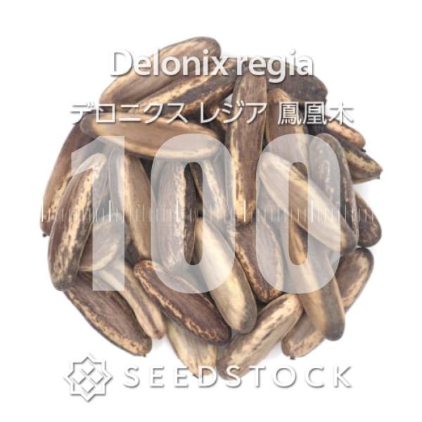 【商品】植物種子【品種】デロニクス レジア 鳳凰木（Delonix regia）【科】Fabaceae【内容量】100粒【原産地】マダガスカル（北西部および西部）【発芽適温】25-30℃※発芽率・品種の保証はございません。種子の性質上、栽培...