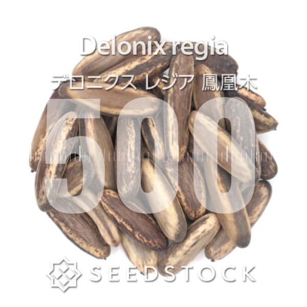 【商品】植物種子【品種】デロニクス レジア 鳳凰木（Delonix regia）【科】Fabaceae【内容量】500粒【原産地】マダガスカル（北西部および西部）【発芽適温】25-30℃※発芽率・品種の保証はございません。種子の性質上、栽培...