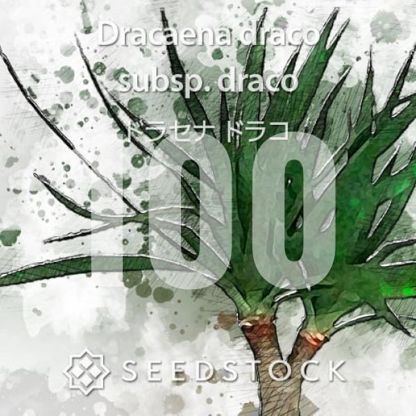 【商品】植物種子【品種】ドラセナ ドラコ（Dracaena draco）【科】Asparagaceae【内容量】100粒【原産地】カナリア諸島、カーボベルデ、マデイラ諸島、モロッコ西部※発芽率・品種の保証はございません。種子の性質上、栽培環...