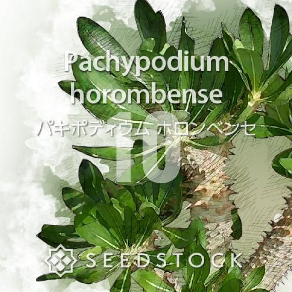 【商品】植物種子【品種】パキポディウム ホロンベンセ（Pachypodium horombense）【科】Apocynaceae【内容量】10粒【原産地】Madagascar（ホロンベ高原周辺）【発芽適温】25-30℃※発芽率・品種の保証は...
