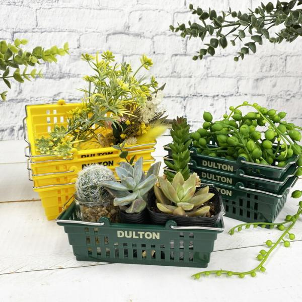 サイズ:H.52mm×W.150mm×D.95mm材質:ABS樹脂、スチール原産国:中国小さい物ってどうしてこう愛らしく思えるのだろう、という疑問が湧く位、可愛らしいミニサイズのバスケット。人気アイテムMICROBASKETより一回り大きい...